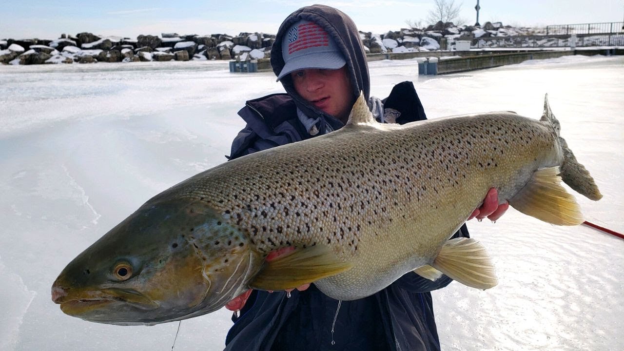 Fishing For GIANT BROWN TROUT (Ice Fishing) - YouTube
