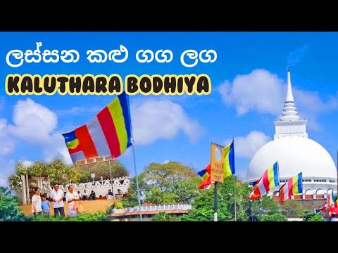 කළුතර බෝධිය වදිමු|Kaluthara Bodhiya|කලුතර බෝධිය |Kaluthara travel place ...