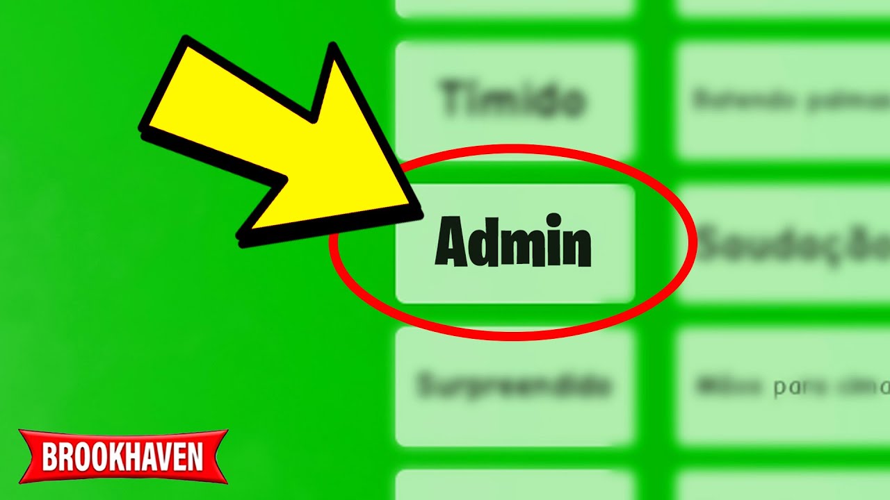 😨 ENCONTREI um BOTÃO SECRETO no BrookHaven... - YouTube