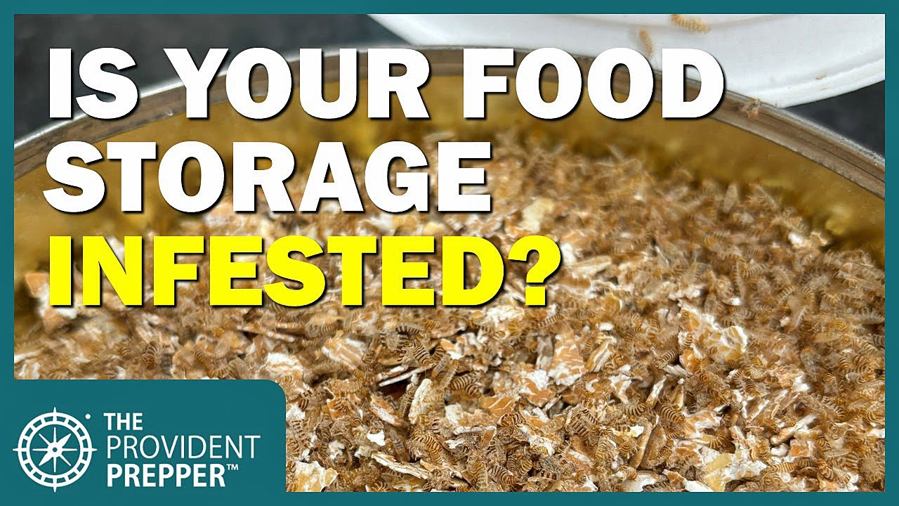 Protect Your Food Storage From Insect Infestation! - YouTube