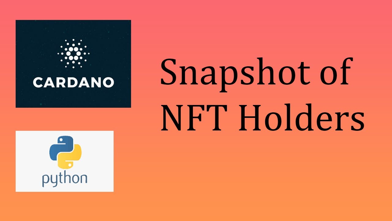 How to take Snapshot of all NFT holders on Cardano ? Using python and blockfrost API - YouTube