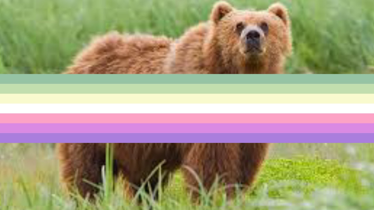 Neo let me borrow his channel to live stream - YouTube