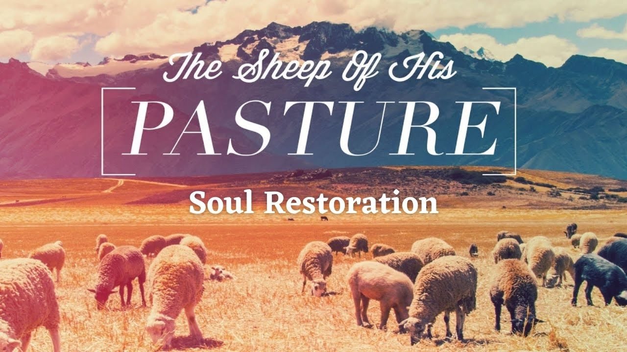 The Sheep of His Pasture - Soul Restoration - YouTube