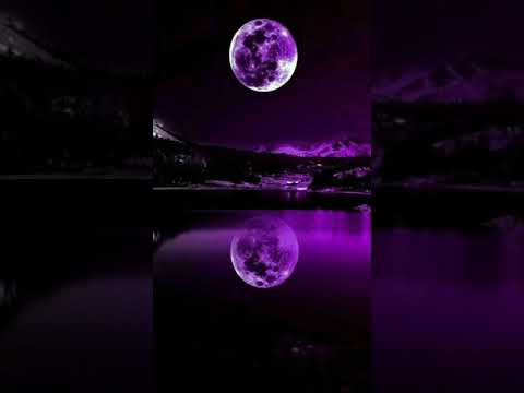 Kara Tren-Nahide Babashlı