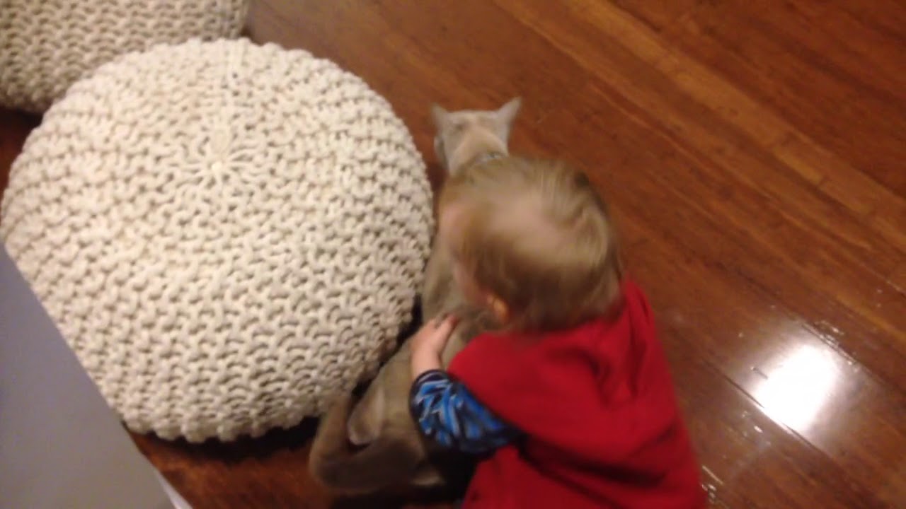 Harrison markham - YouTube