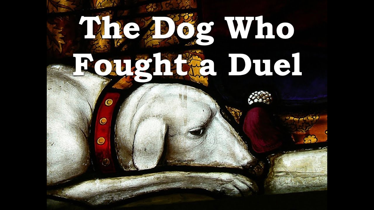 The Story of The Dog Who Fought a Duel - YouTube
