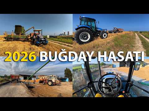 2026 Buğday Hasadı Yapıyoruz