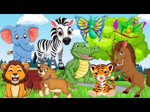 World Animal Video, Dogs, duck, elephant, crocodile, rabbit cows world ...