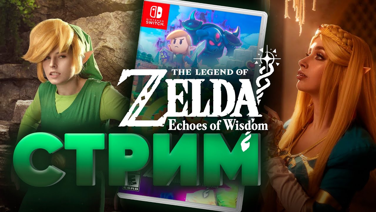 Зельда и Линк играют в The Legend of Zelda: Echoes of Wisdom - косплей ...