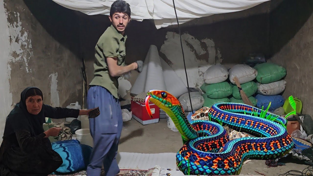 See how the snake attacked Jamshid. The snake was hiding in the house ...