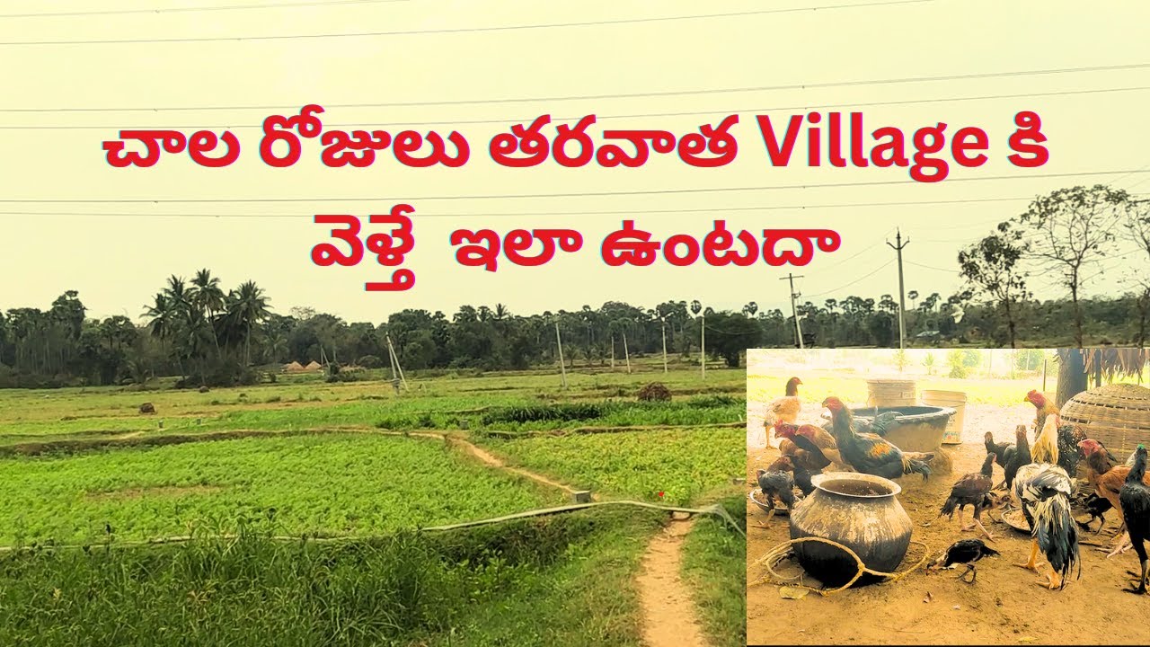Village lo ilane untadi - YouTube