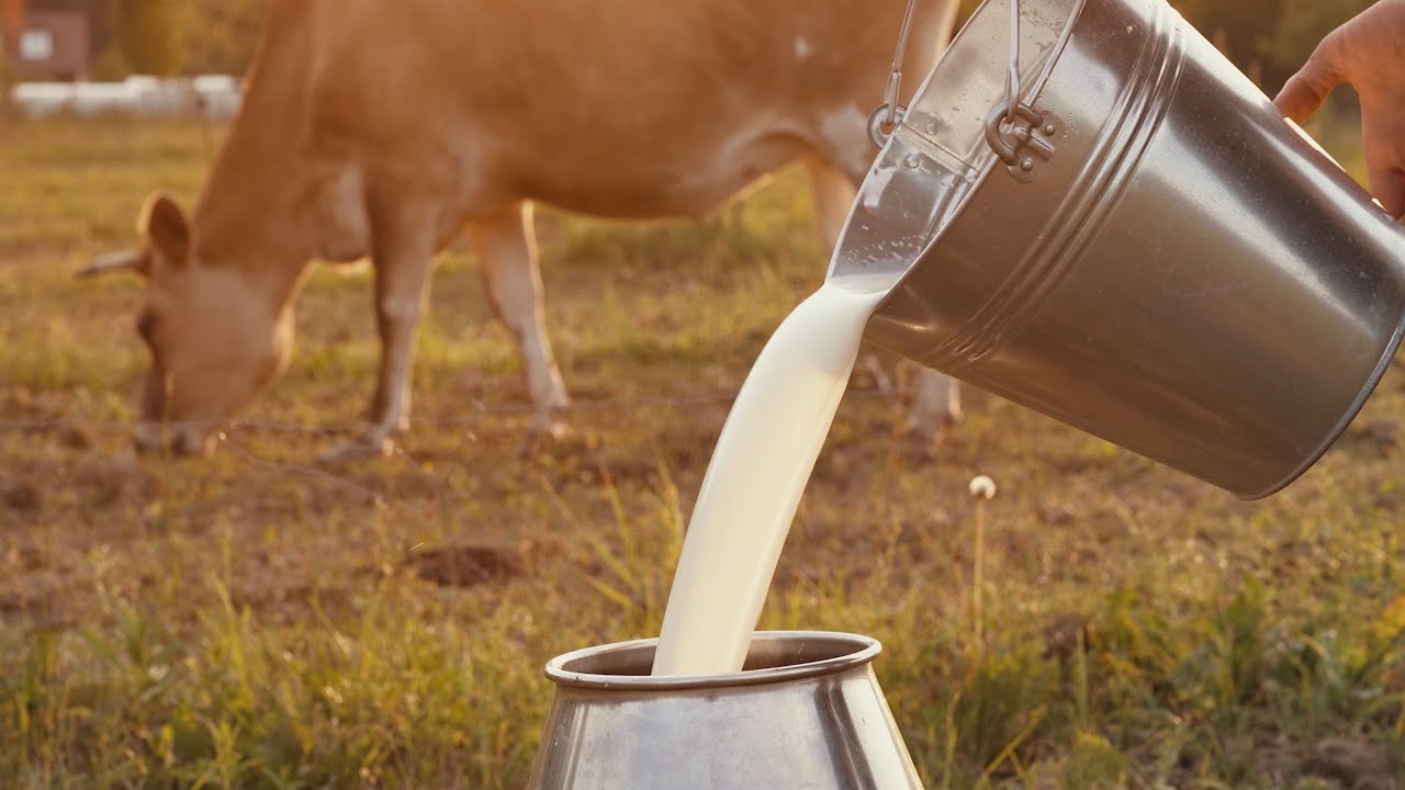 2/24/2025: Multiple Perspectives on Raw Milk - YouTube