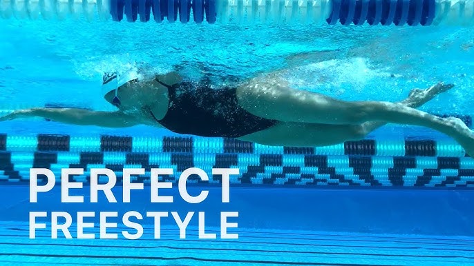 Freestyle Swimming Technique Step By | EOUA Blog