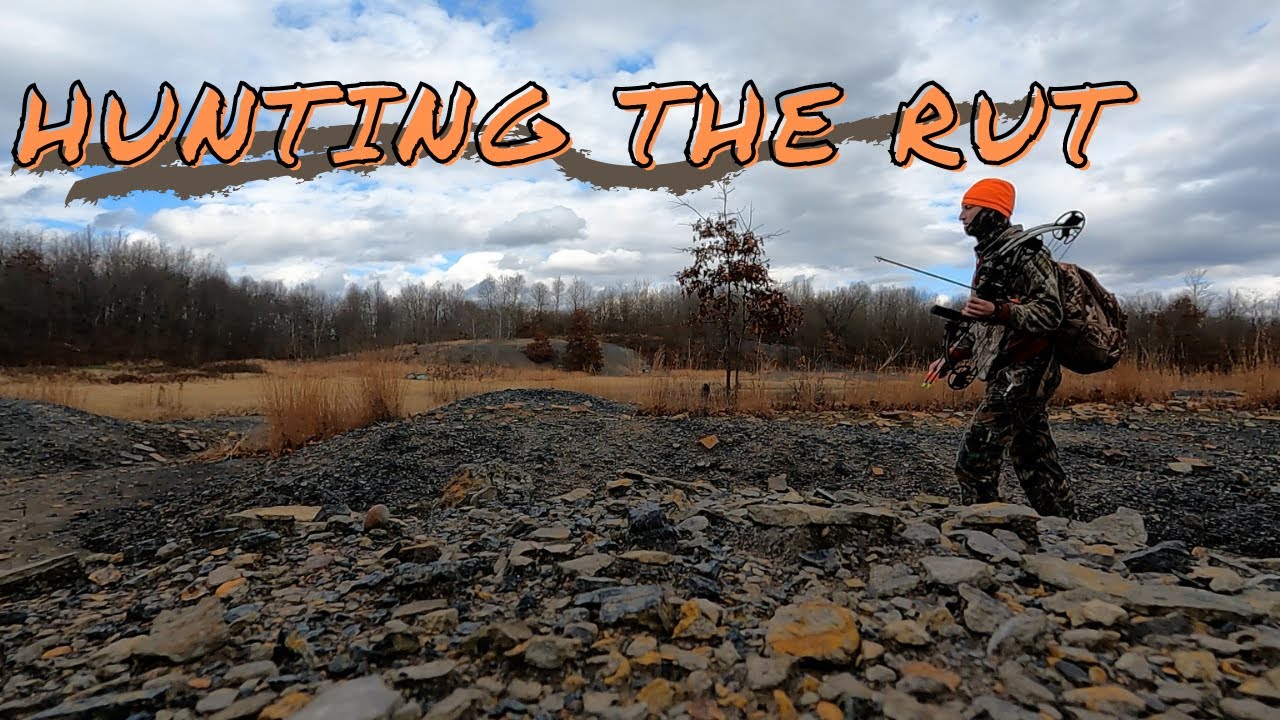 OHIO Early Rut Whitetail Deer Hunting - YouTube