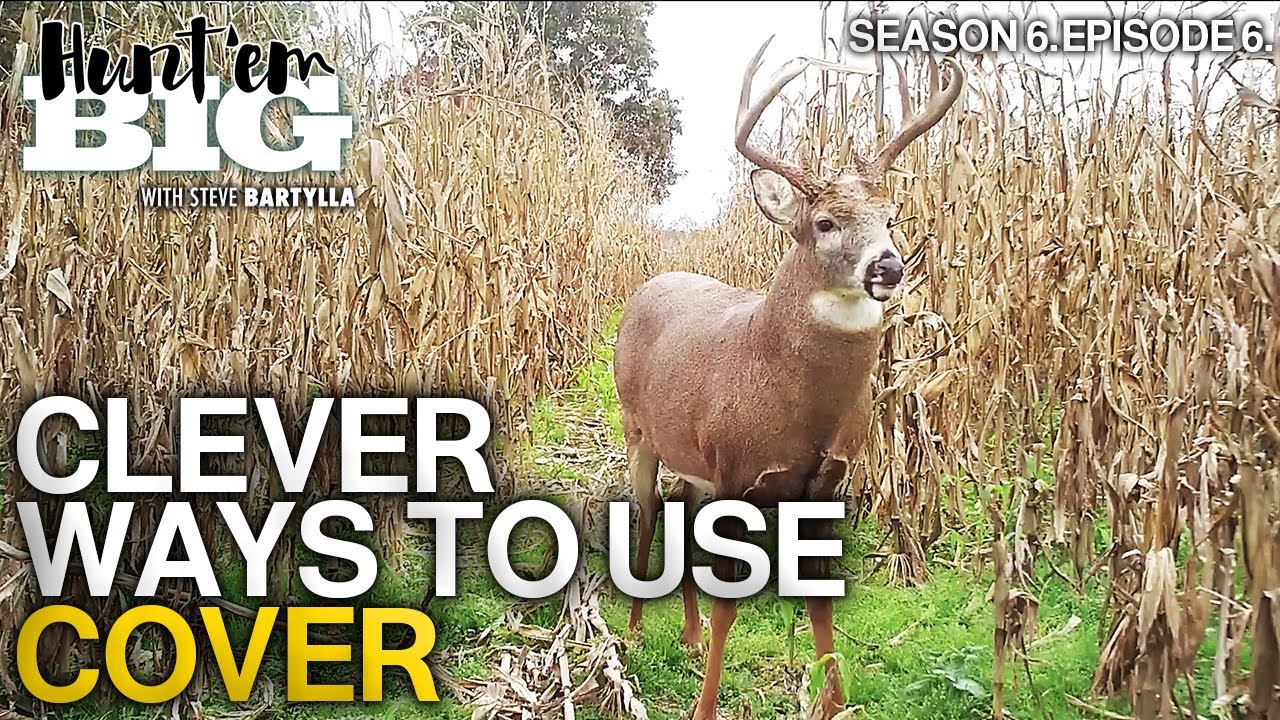 Hunt Different Types of Deer Cover - YouTube