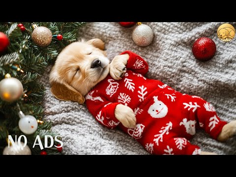 12 HOURS Relaxing Christmas Music for Dogs 🐶🎄 Deep Sleep & Anxiety Relief ❄️ No Ads