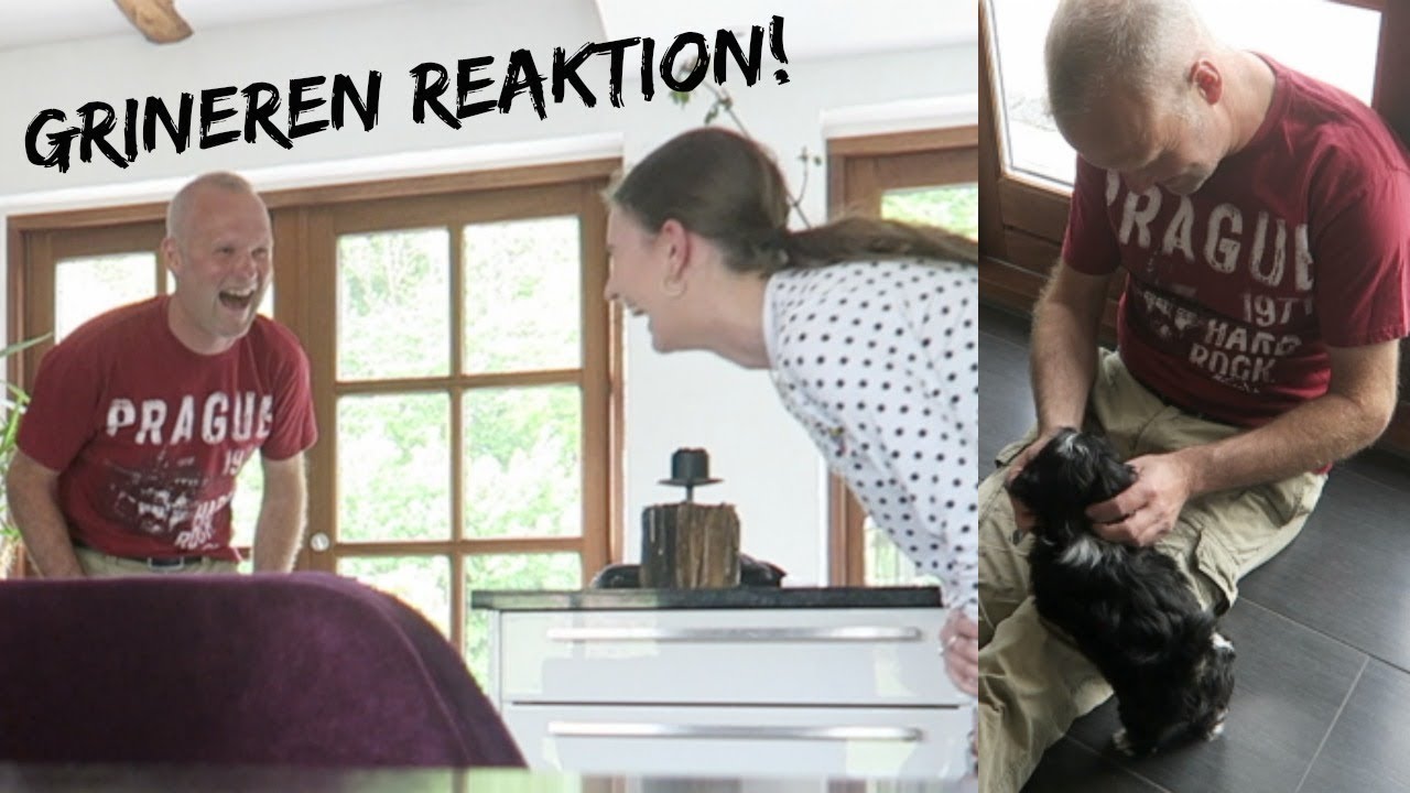 PRANKER MIN FAR MED AT JEG HAR KØBT EN HUND TIL HAM?! (ALBA PRANK ...