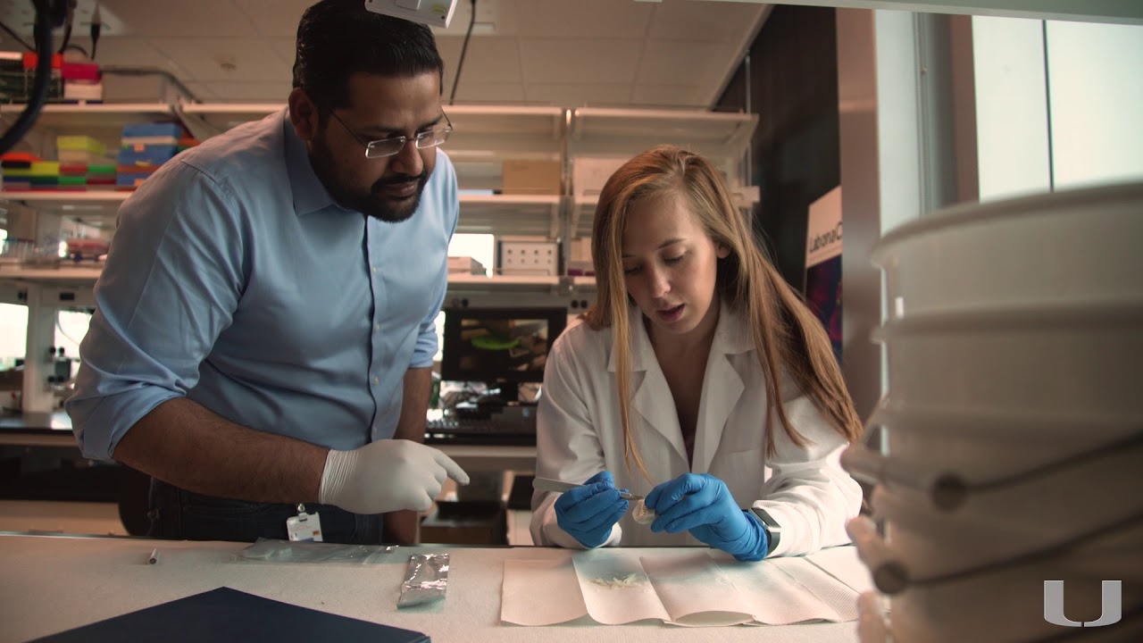 A Giant Step Forward for STEM - YouTube