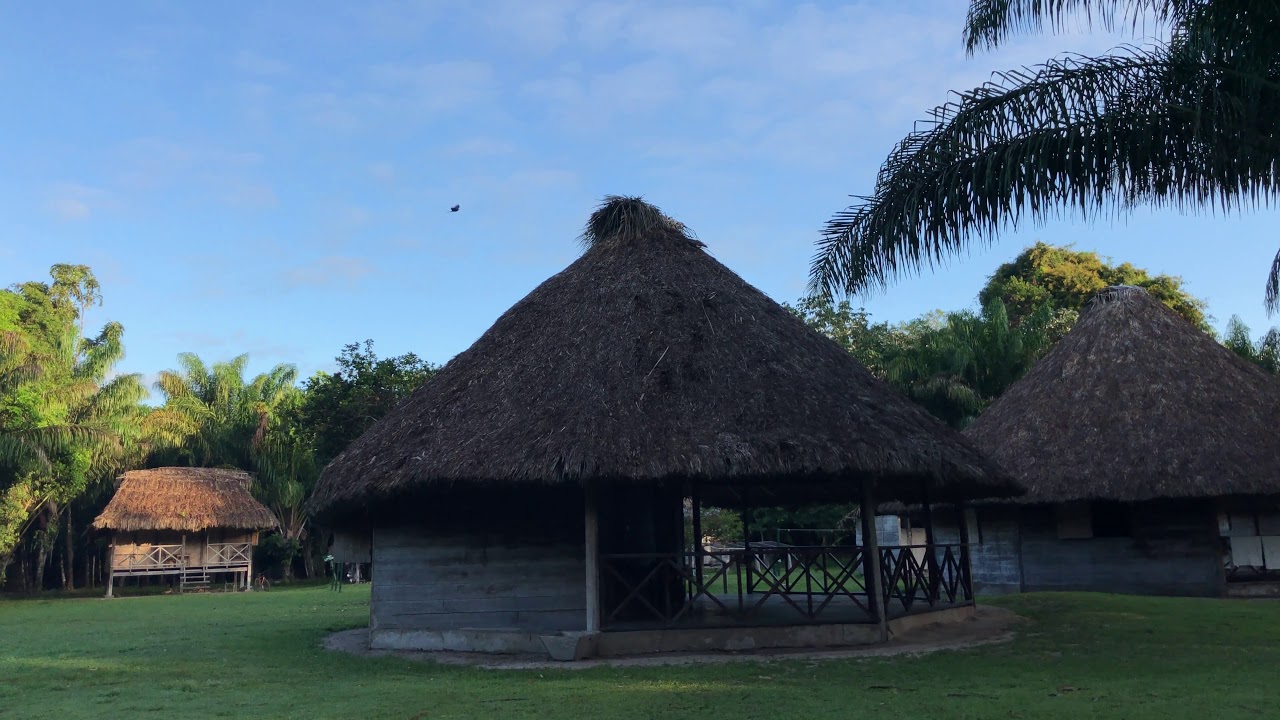 Guyna Rain forest - Rewa Eco lodge - YouTube