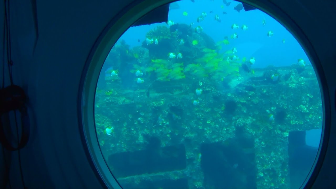 Atlantis Submarine Tour Waikiki Hawaii Hilton Hawaiian Village Review ...