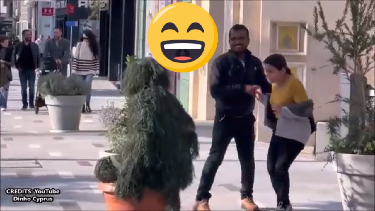 Bushman prank. The best reactions in 2023 - YouTube