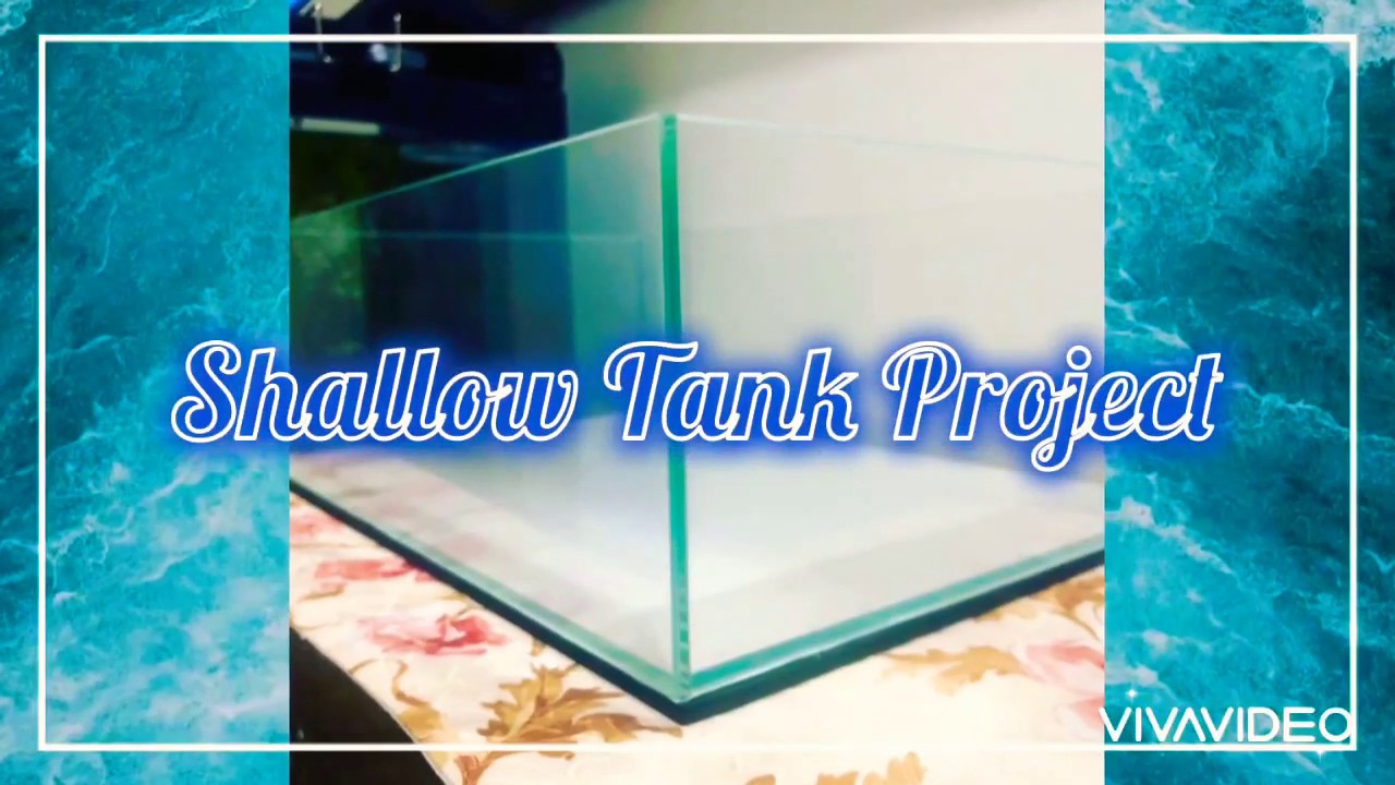 Shallow Tank Project (Episode 1) - YouTube
