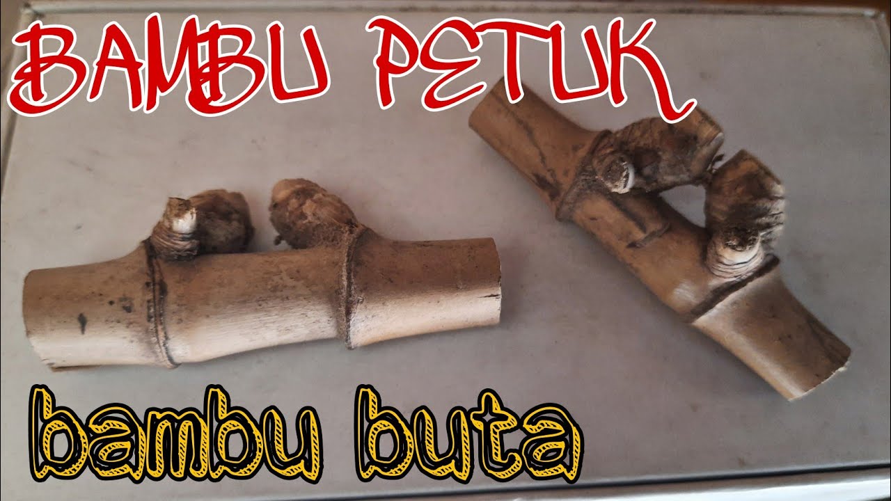 MEDIA RITUAL BAMBU PETUK #BARANGANTIK BAMBU BUTA - YouTube