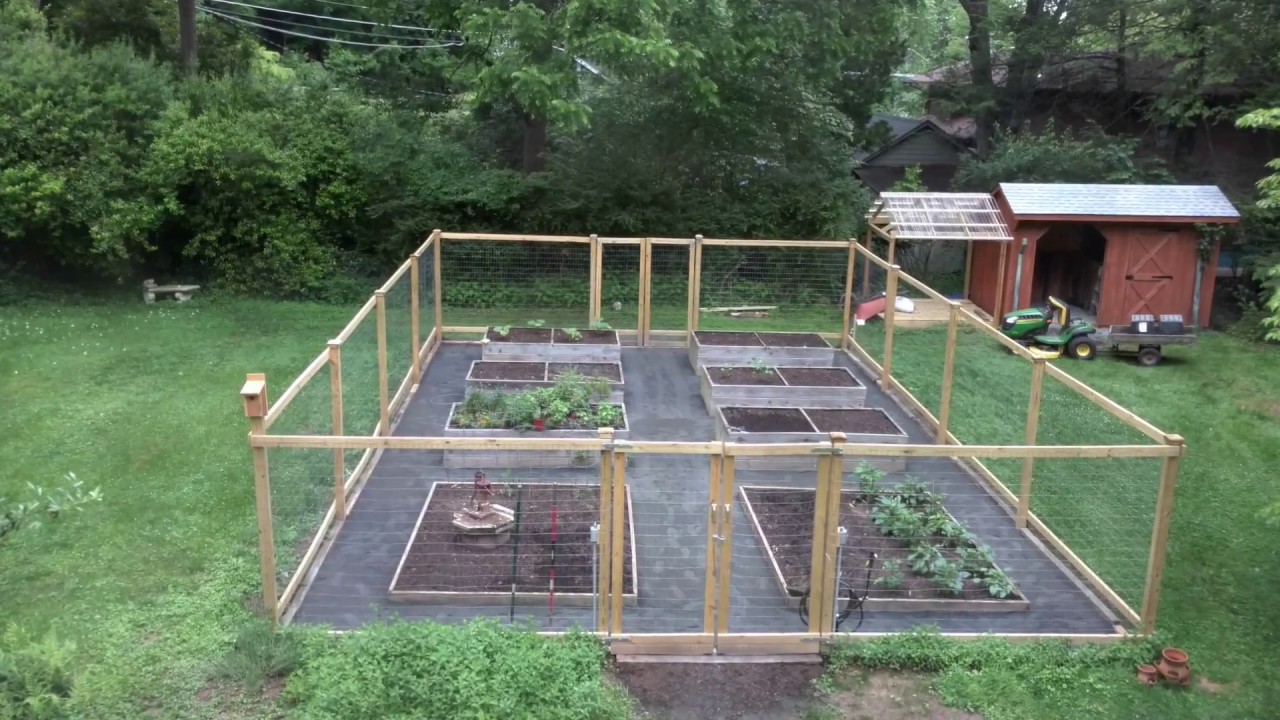 A Deer & Burrow Proof Garden - YouTube