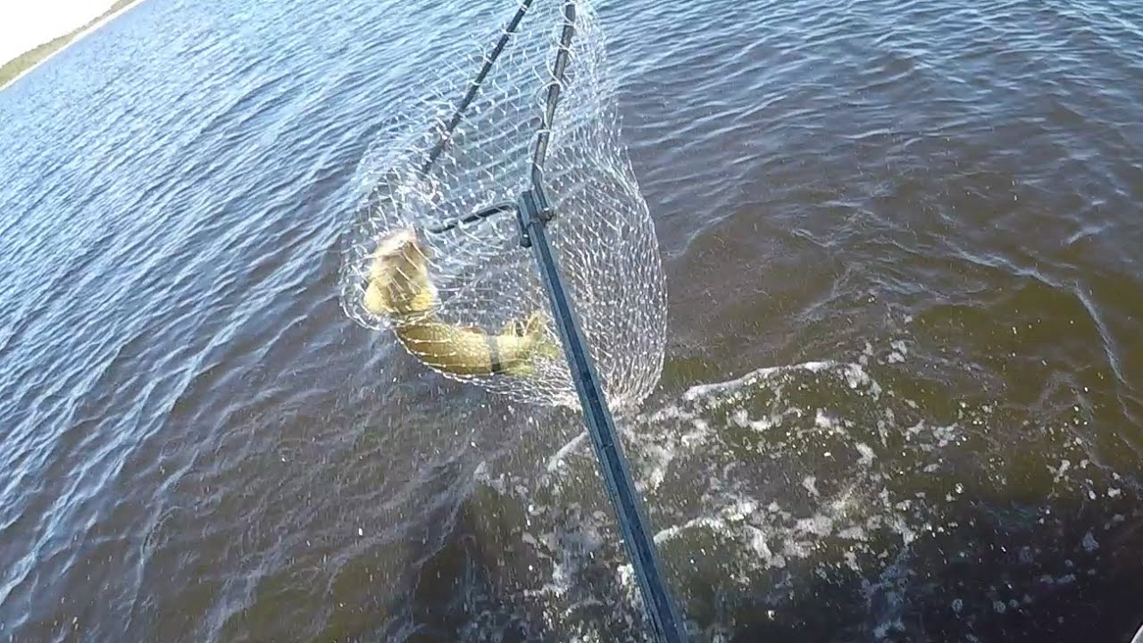 Pike fishing in baltic sea, Estonia, mai 2017 - YouTube