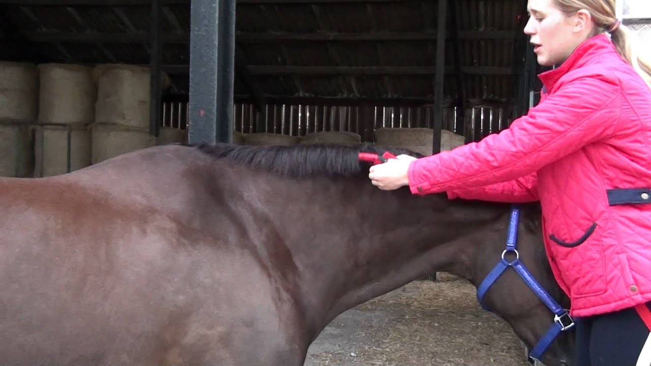 solo comb.MTS - YouTube