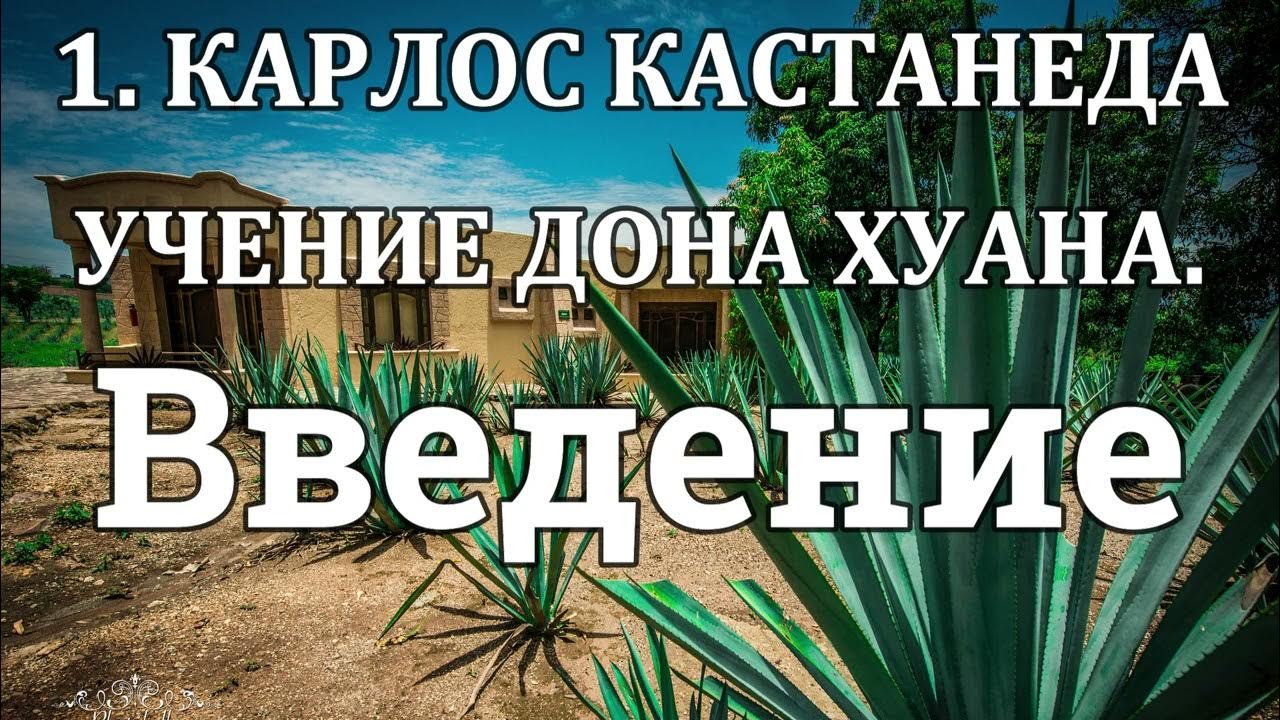 1. Карлос Кастанеда. Первая книга. Учение Дона Хуана. Введение ...