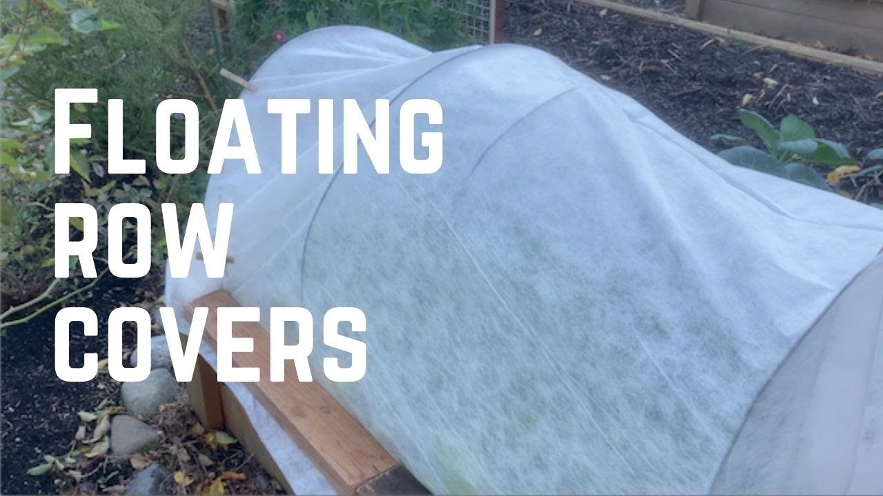 How to Use Floating Row Covers for Cold Weather Crops | Easy Frost ...