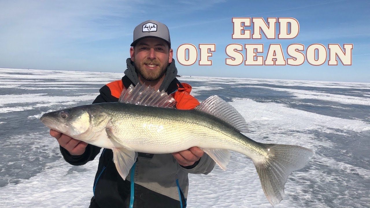 End Season Walleyes - Lake Winnipeg Greenback Chase! - YouTube