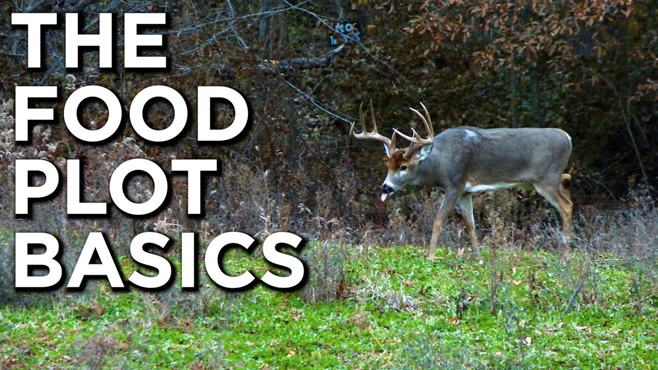 5 KEY Food Plot Tips!! | Watch This Before You Plant!! - YouTube