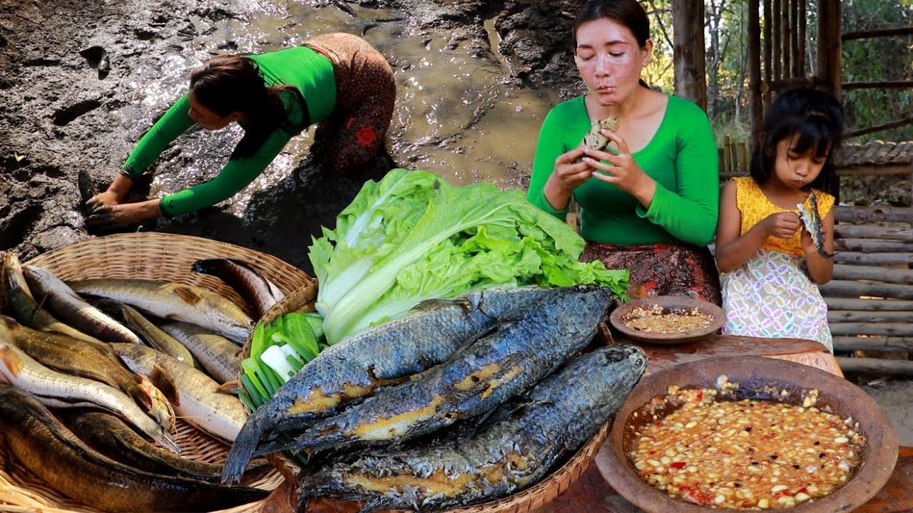 Survival skills-Catch many fish in mud for food-Cooking fish with my ...