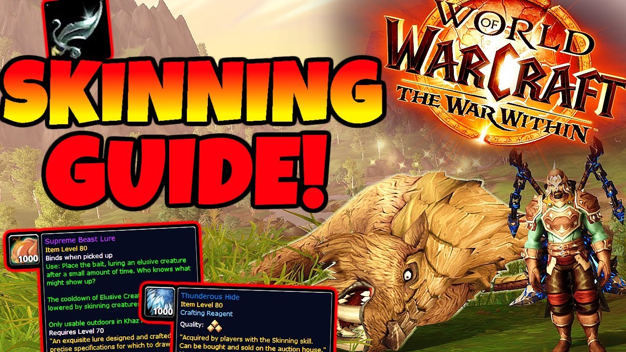 The War Within SKINNING Guide - Everything NEW in The War Within ...