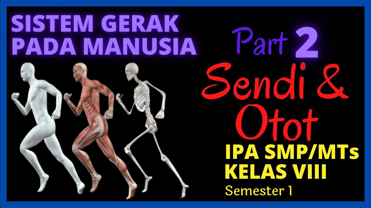 Sistem Gerak Pada Manusia Part 2 || Sendi dan Otot || IPA SMP/MTs Kelas ...
