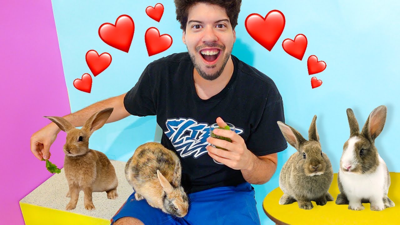 I SURPRISED My Boyfriend with a BUNNY! - YouTube