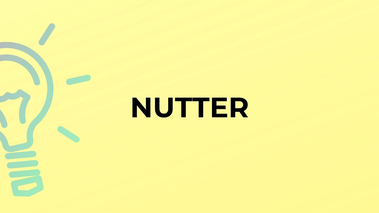 What is the meaning of the word NUTTER? - YouTube
