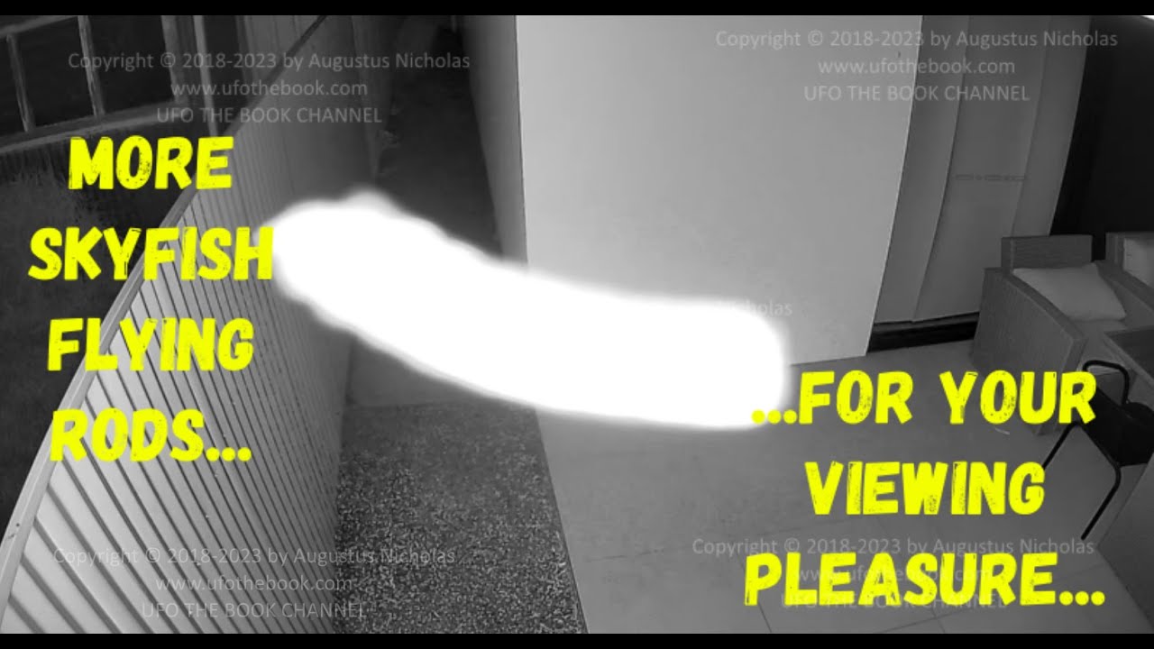 SKYFISH ROD UFOs caught on camera - The FLYING ROD UFOs keep coming out ...