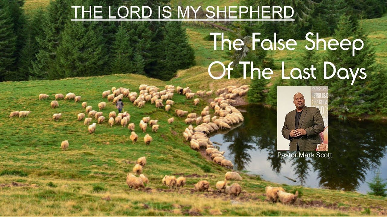 The False Sheep Of The Last Days - YouTube
