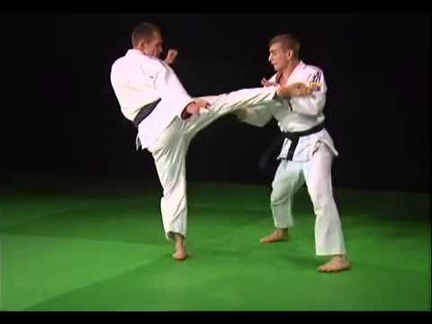 15 Coup de pied circulaire - YouTube