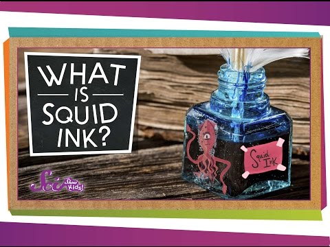 What Is Squid Ink? | Safe Videos for Kids