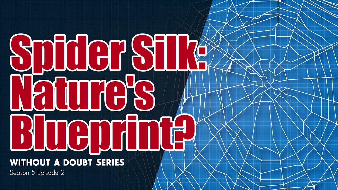 Spider Silk: Nature's Blueprint? - YouTube