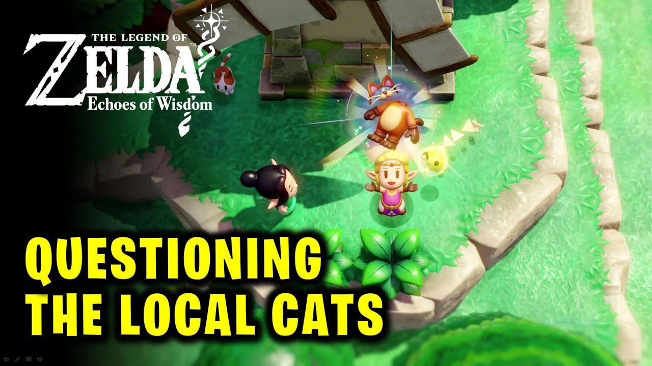 Questioning the Local Cats - Side Quest Guide | Legend of Zelda Echoes ...