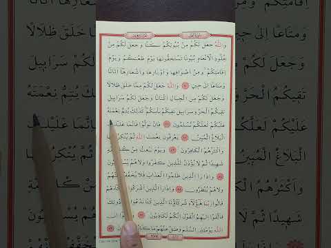 Kur'an-ı Kerim'in 277. Sayfası El Nahl Suresi yavaş ve ağır okumak.     ٢٧٧من سورة الحجر صفحة