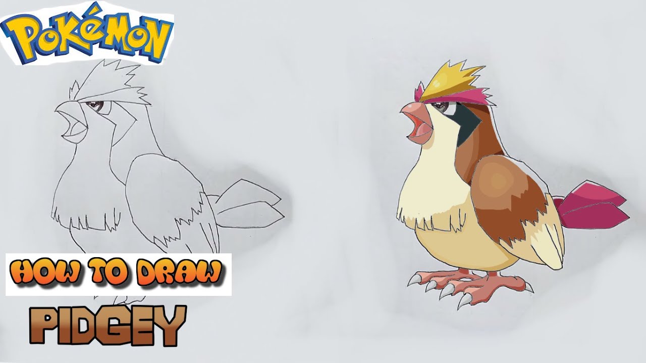 How to Draw Pidgey | Vẽ Pokemon Pidgey - YouTube