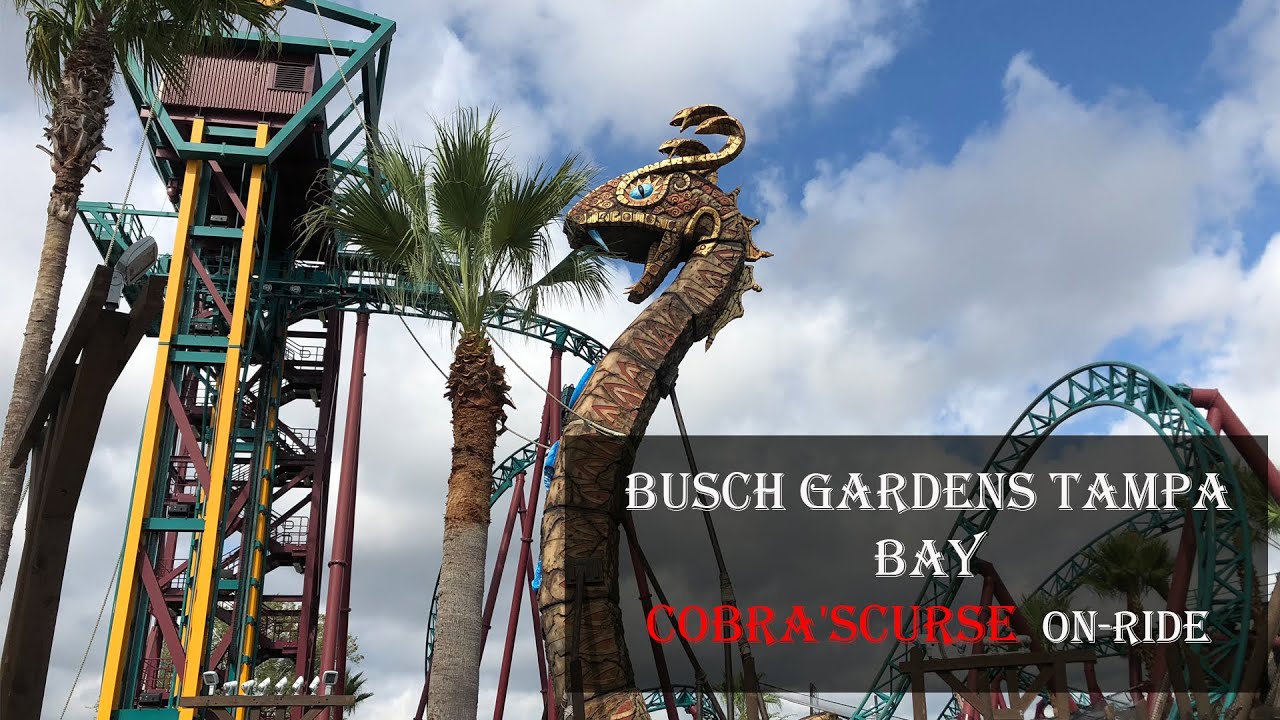 Busch Gardens Tampa Bay - Cobra's Curse (on-ride) - Cool Roller Coaster ...