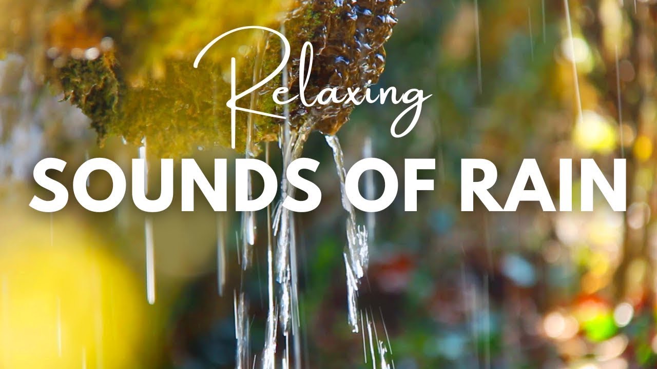 2 hours Heavy Rainstorm (Power Nap) | Fall Asleep Instantly With Rain ...