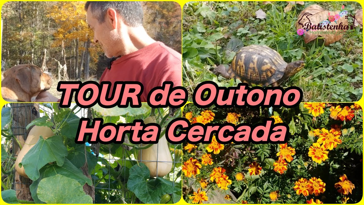TOUR de Outono na Horta Cercada / Autumn TOUR in the Fenced in Garden ...